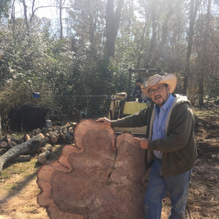 Gallery | Garcia Tree Service, INC